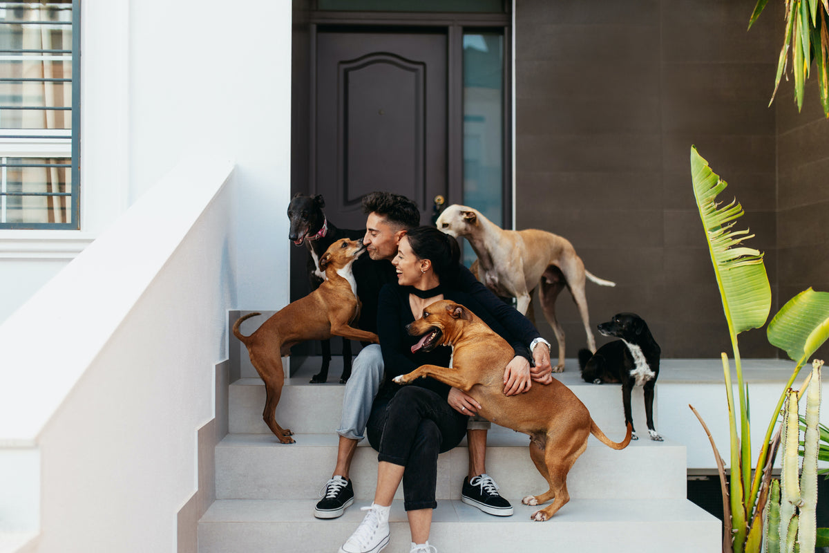 Shared Life - Original stock photo shoot at Jacob Lund