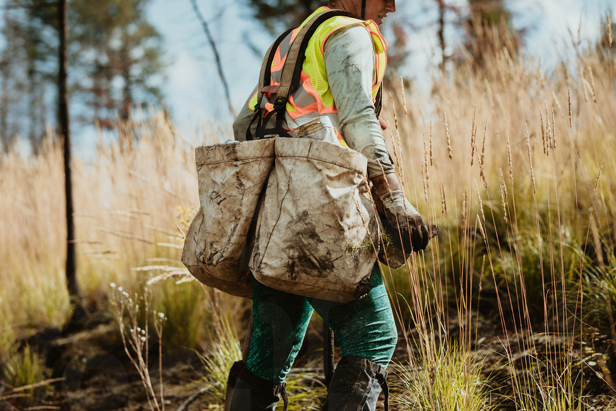 Female working in forestry – Jacob Lund Photography Store- premium ...
