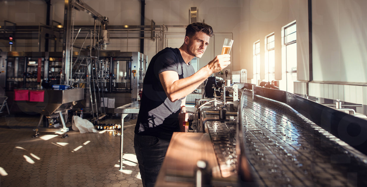 Brewery factory owner examining the quality of craft beer – Jacob Lund ...